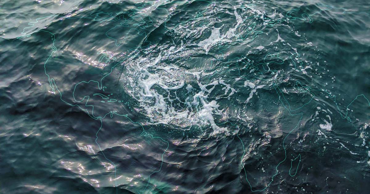 Case Studies | Kelson Marine Co.