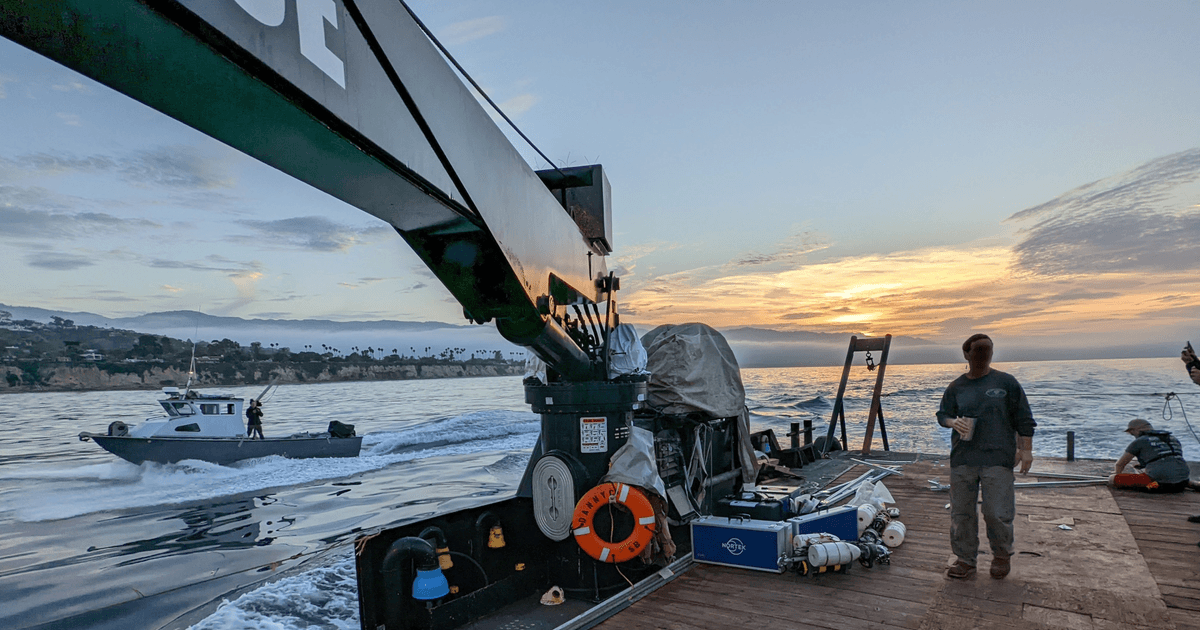 Ocean Rainforest USA - Offshore Exposed Macroalgae Farm | Kelson Marine Co.